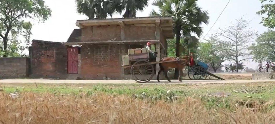 Save Solutions Private Limited